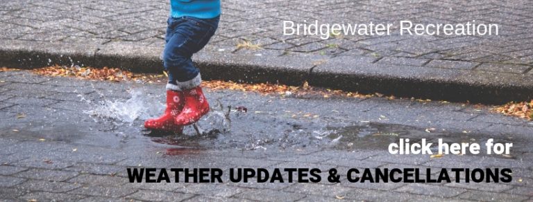 Zoning Charts | Bridgewater Township